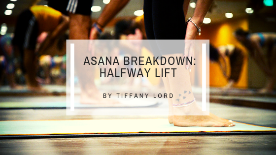 Basic Yoga Posture Breakdown: Halfway Lift – loveandasana
